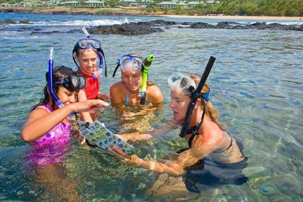 Hawaii Ecotourism Crush | Trade World News
